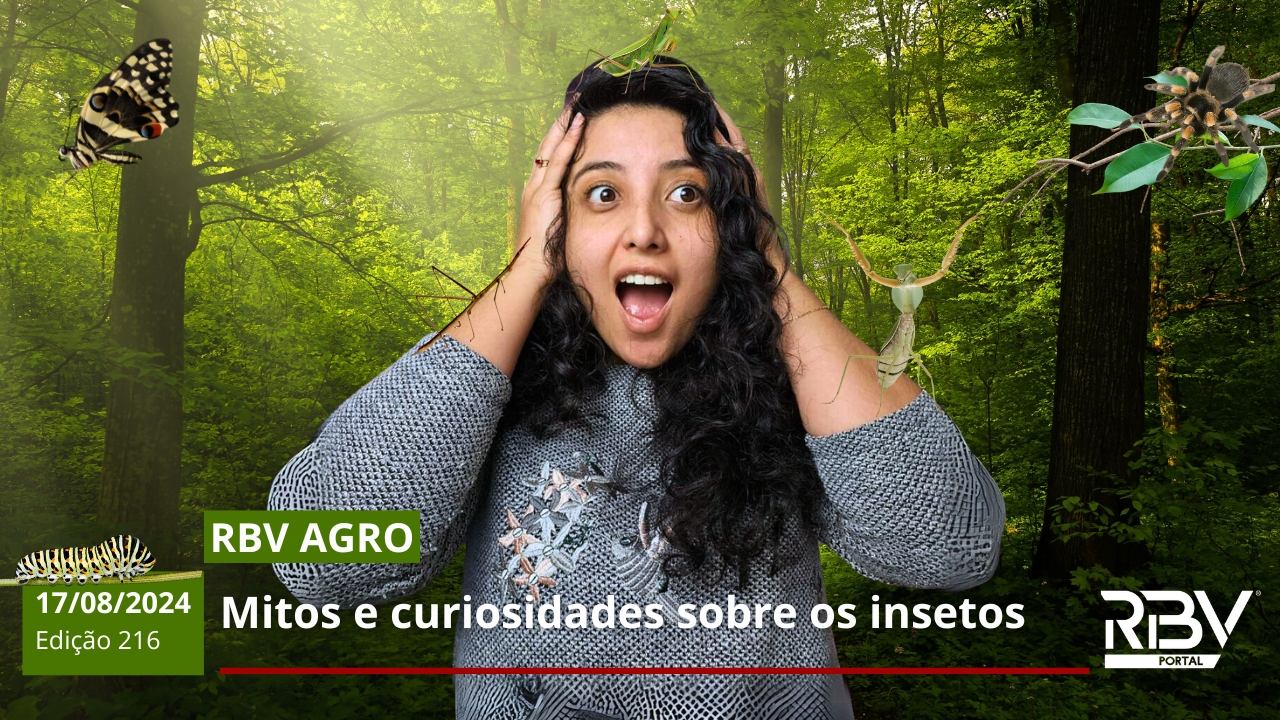 RBV Agro 216 - Mitos e curiosidades sobre os insetos